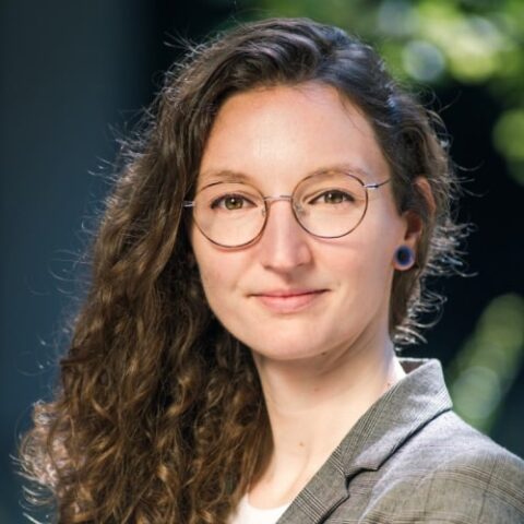 The BRAIN Foundation Investigators