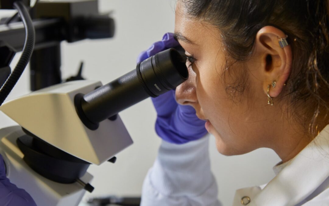 The BRAIN Foundation - Supporting Translational Research for ...